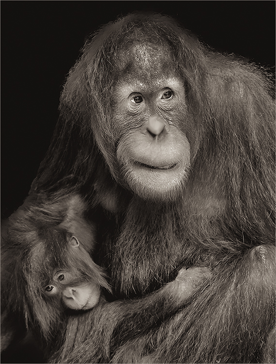 Mutterliebe Foto & Bild | fotokunst, emotionen, monochrome fine art ...