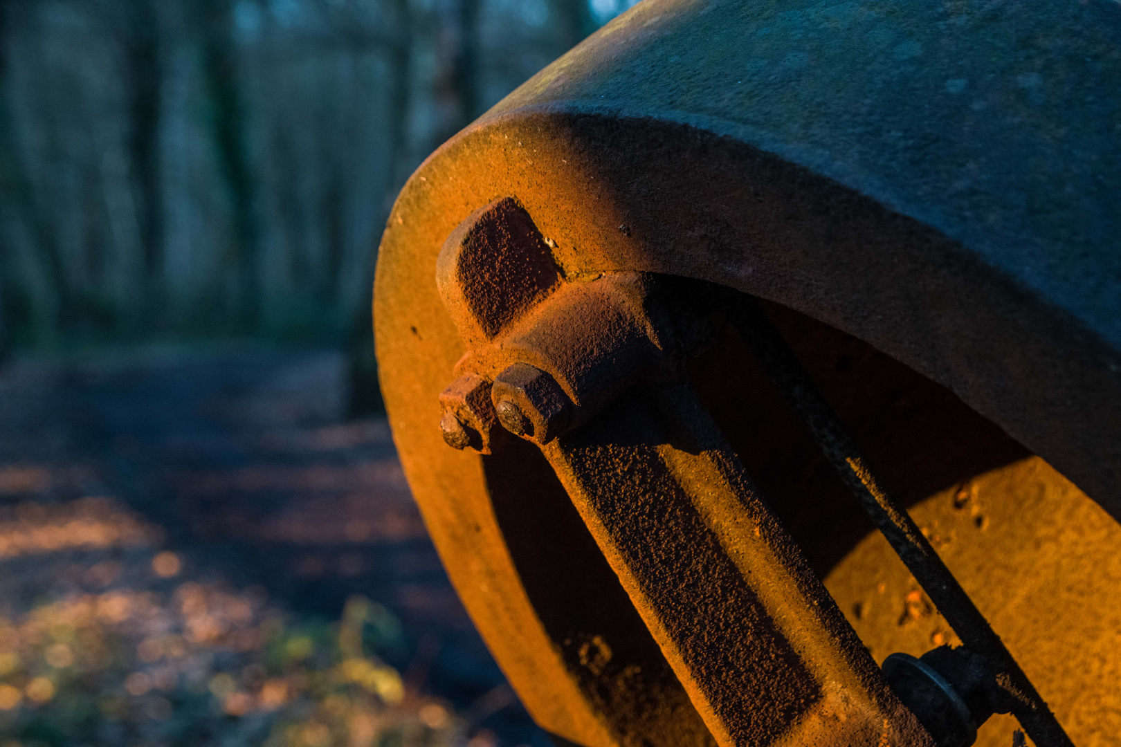 Muttern geniessen die Sonne Foto & Bild | projekte, 3 ...