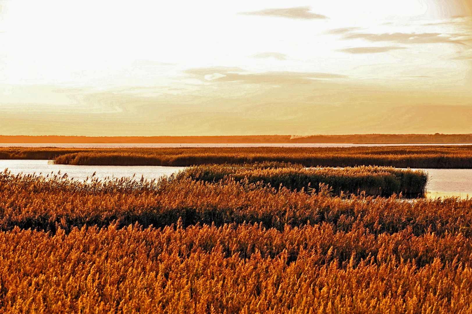 MV-Bodden Foto & Bild | landschaft, moor, meckleburg vorpommern Bilder ...