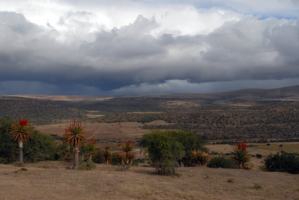 Mvezo Foto & Bild | africa, southern africa, south africa Bilder auf ...