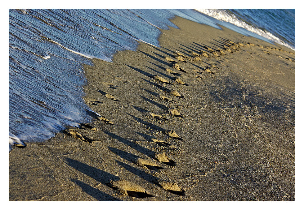 my way..." Foto & Bild | archiv projekte naturchannel, naturprojekte ...