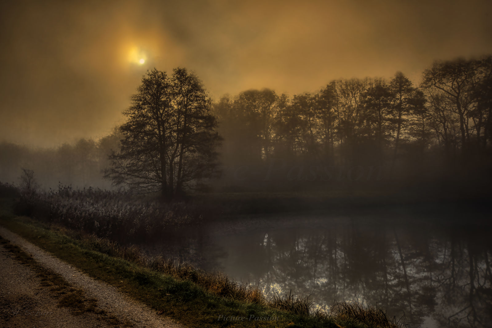 Mysic Pond Foto & Bild | mystik,gothic, szene, nebelstimmungen Bilder ...