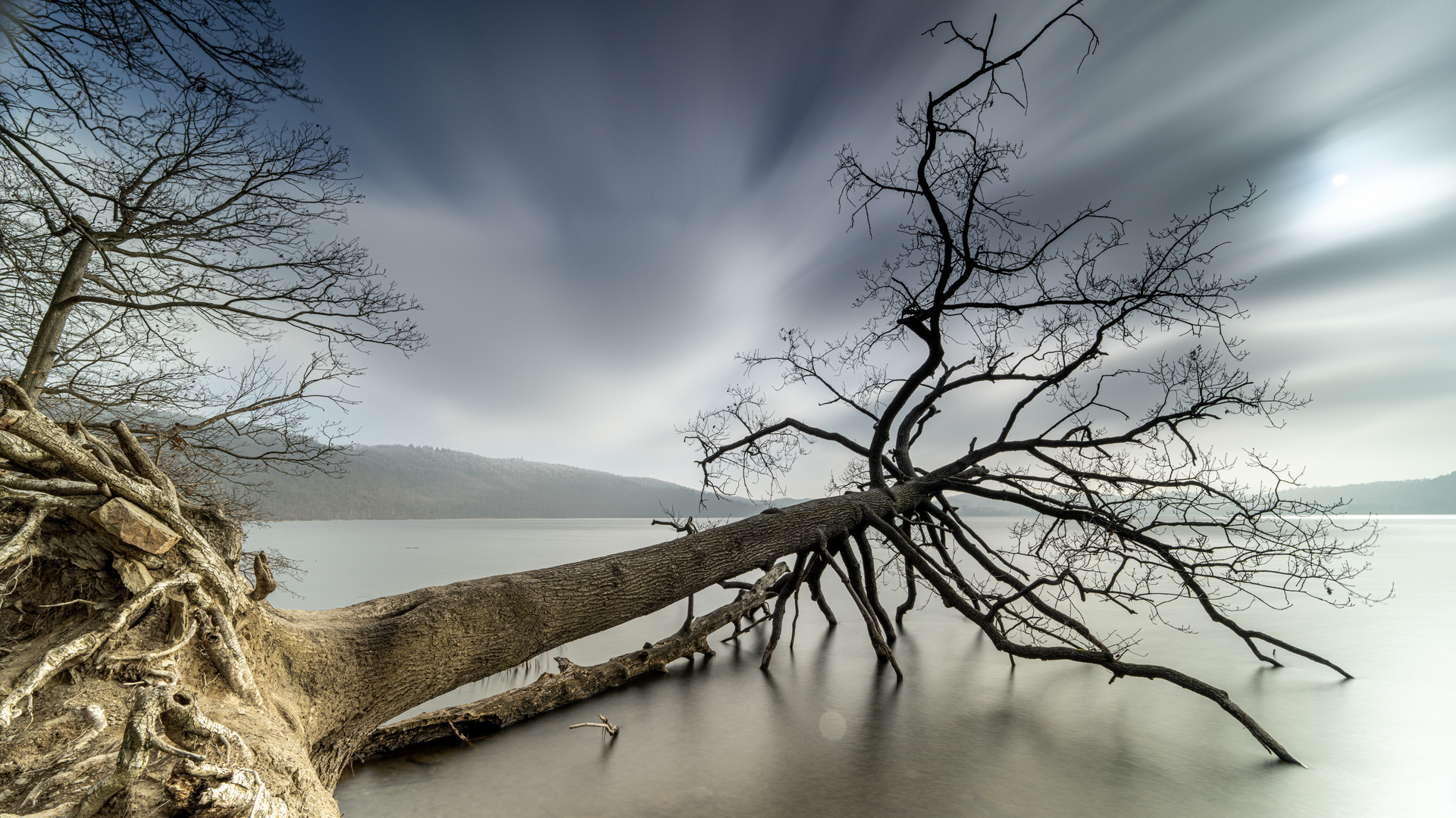 Mystic Tree Foto & Bild | jahreszeiten, winter, landscape Bilder auf ...