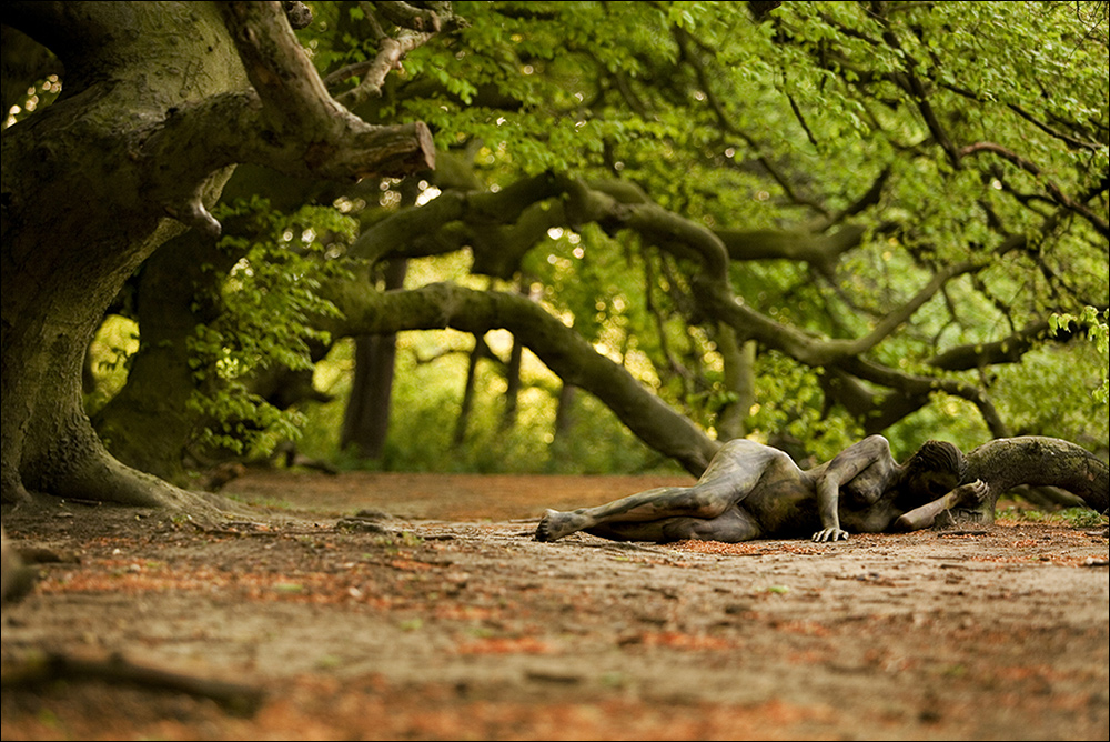 *mystic trees* Foto & Bild | fotokunst, metamorphosen, spezial Bilder ...