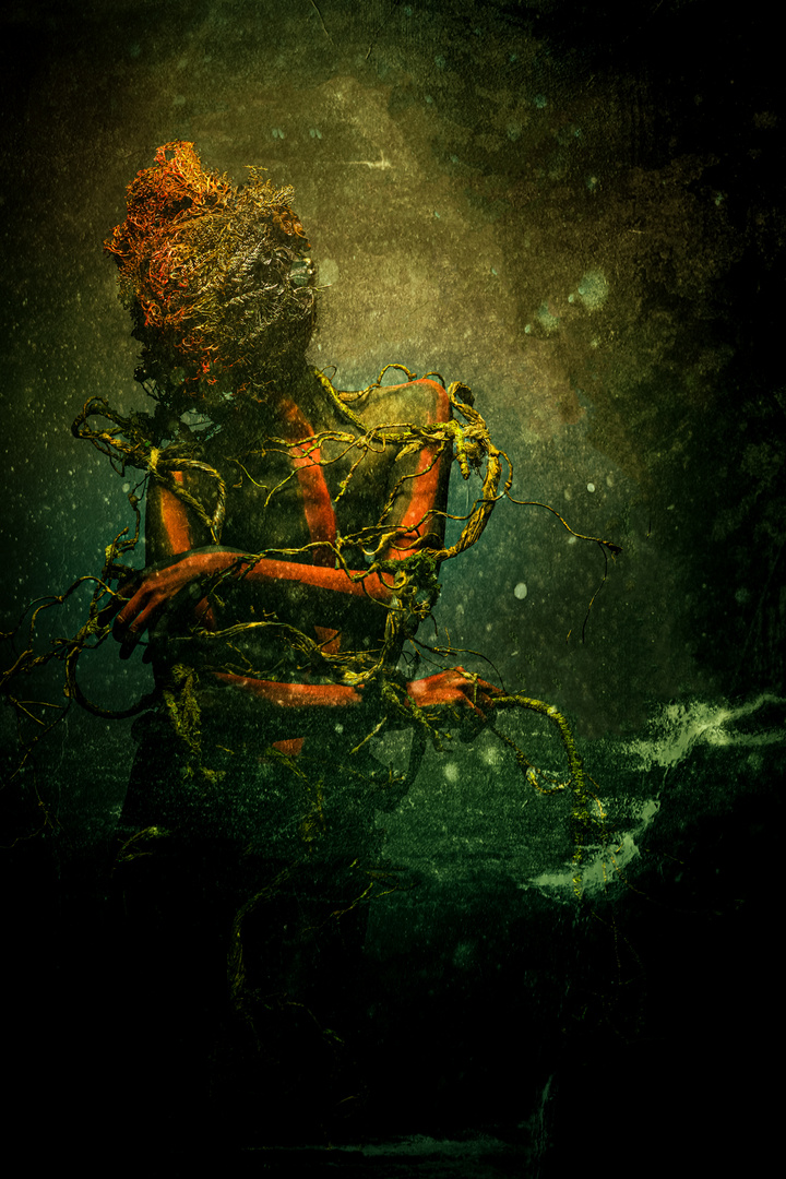 Mystical tree lady Foto & Bild | portrait, fotomontage, fantasy mystery ...