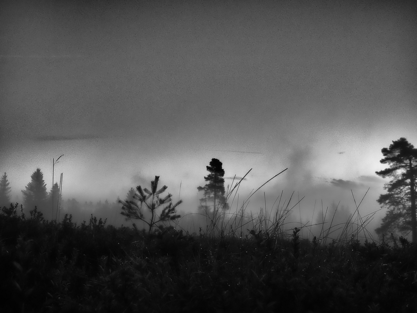 Mystisch Foto & Bild | natur, landschaft, nebel Bilder auf fotocommunity Mystisch Foto & Bild | natur, landschaft, nebel Bilder auf fotocommunity