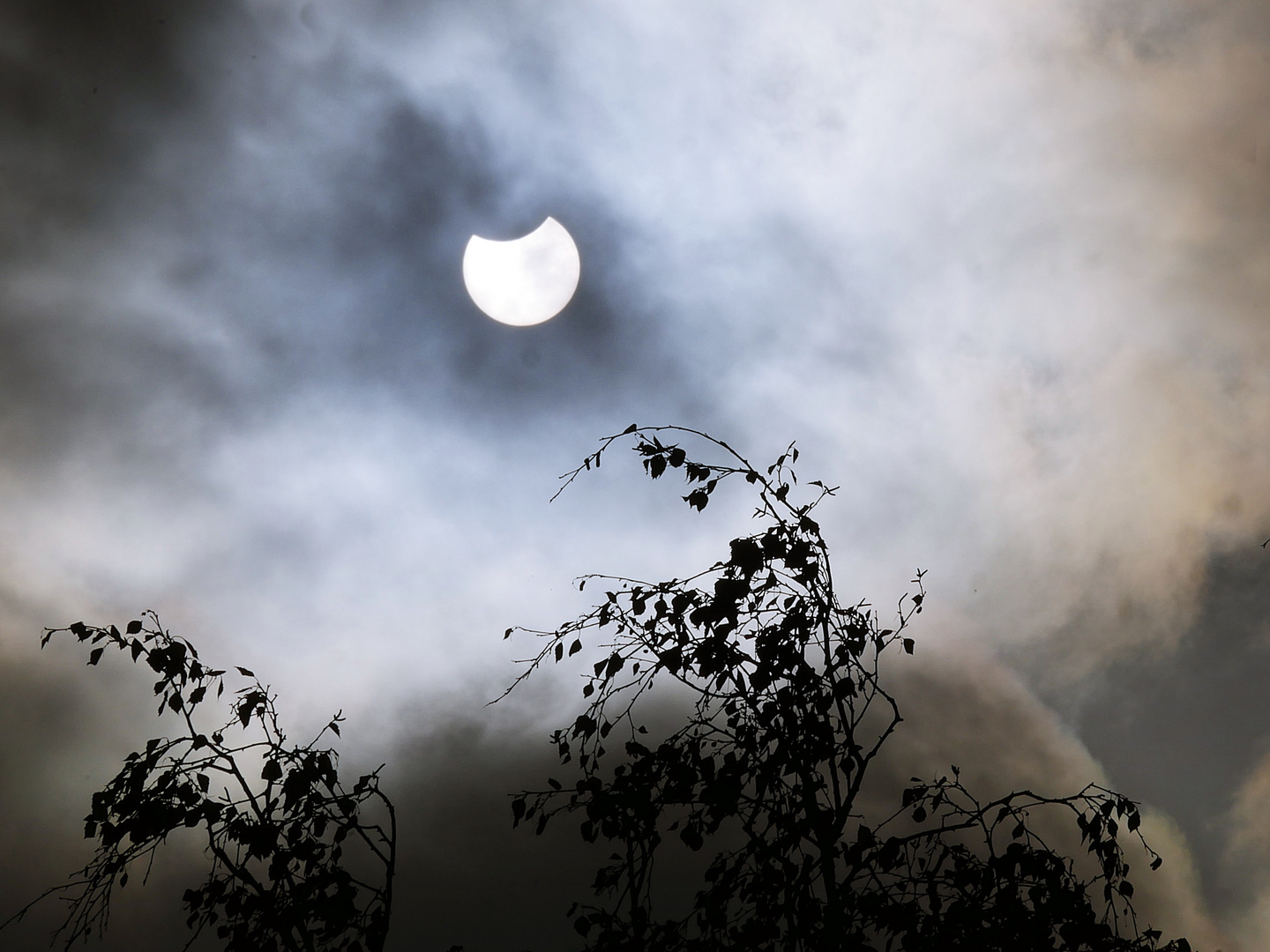 Mystisch Foto & Bild | spezial, natur, melancholie Bilder auf fotocommunity Mystisch Foto & Bild | spezial, natur, melancholie Bilder auf fotocommunity