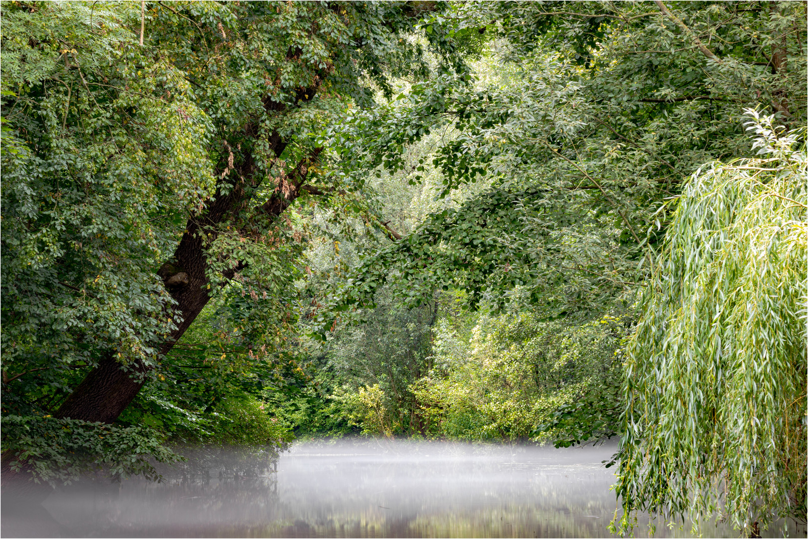 N E B E L S C H W A D E N Foto Bild Natur Landschaft n-e-b-e-l-s-c-h-w-a-d-e-n-foto-bild-natur-landschaft