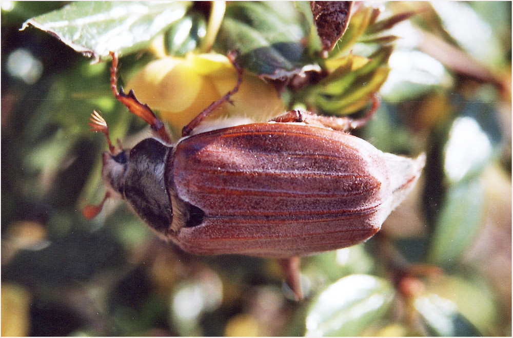 Na ihr,ich bin daaaaaa und nun folgt mir mal schön! Foto & Bild ...