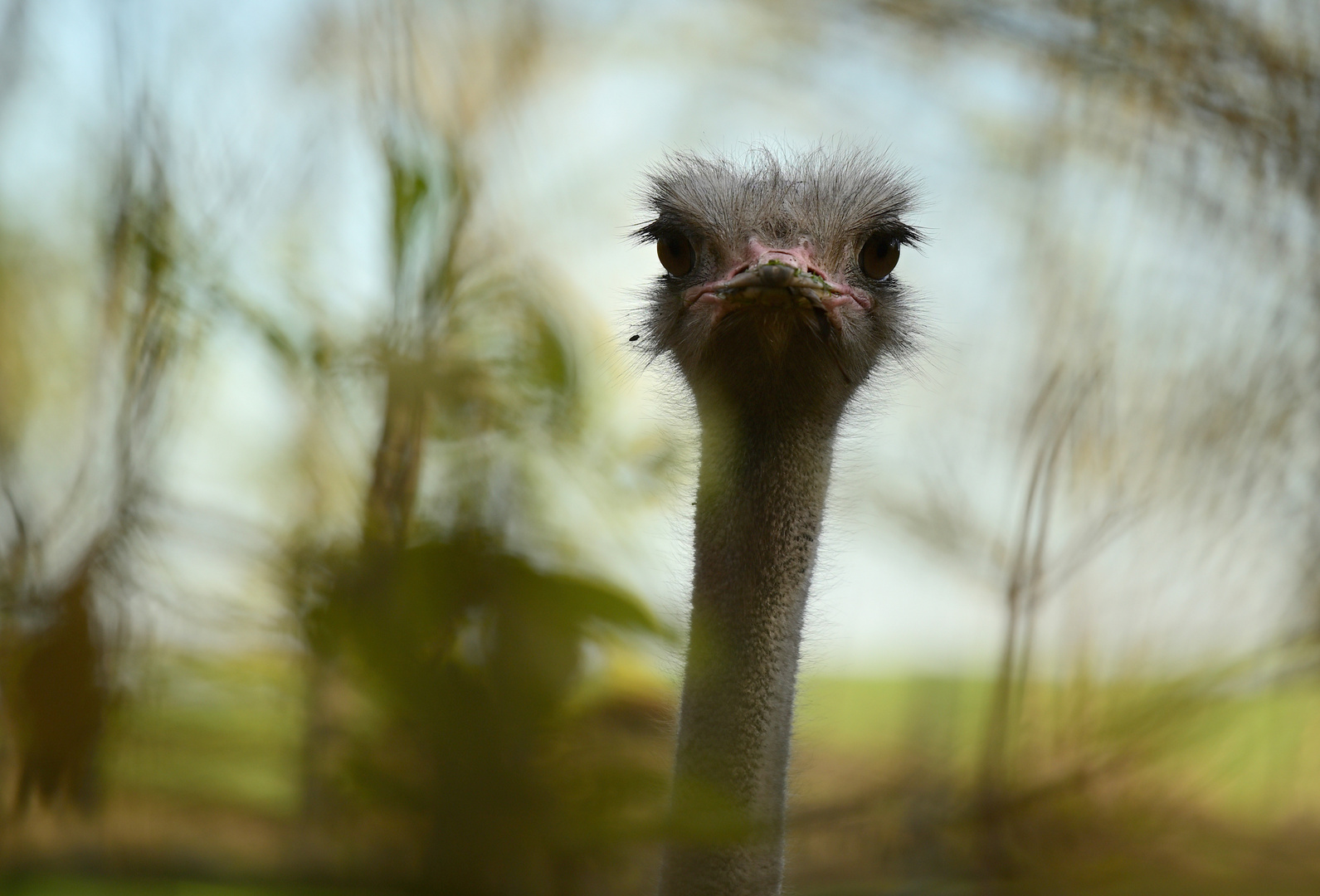 Naaaa! - Was gibt's Neues? Foto & Bild | tiere, zoo, wildpark ...