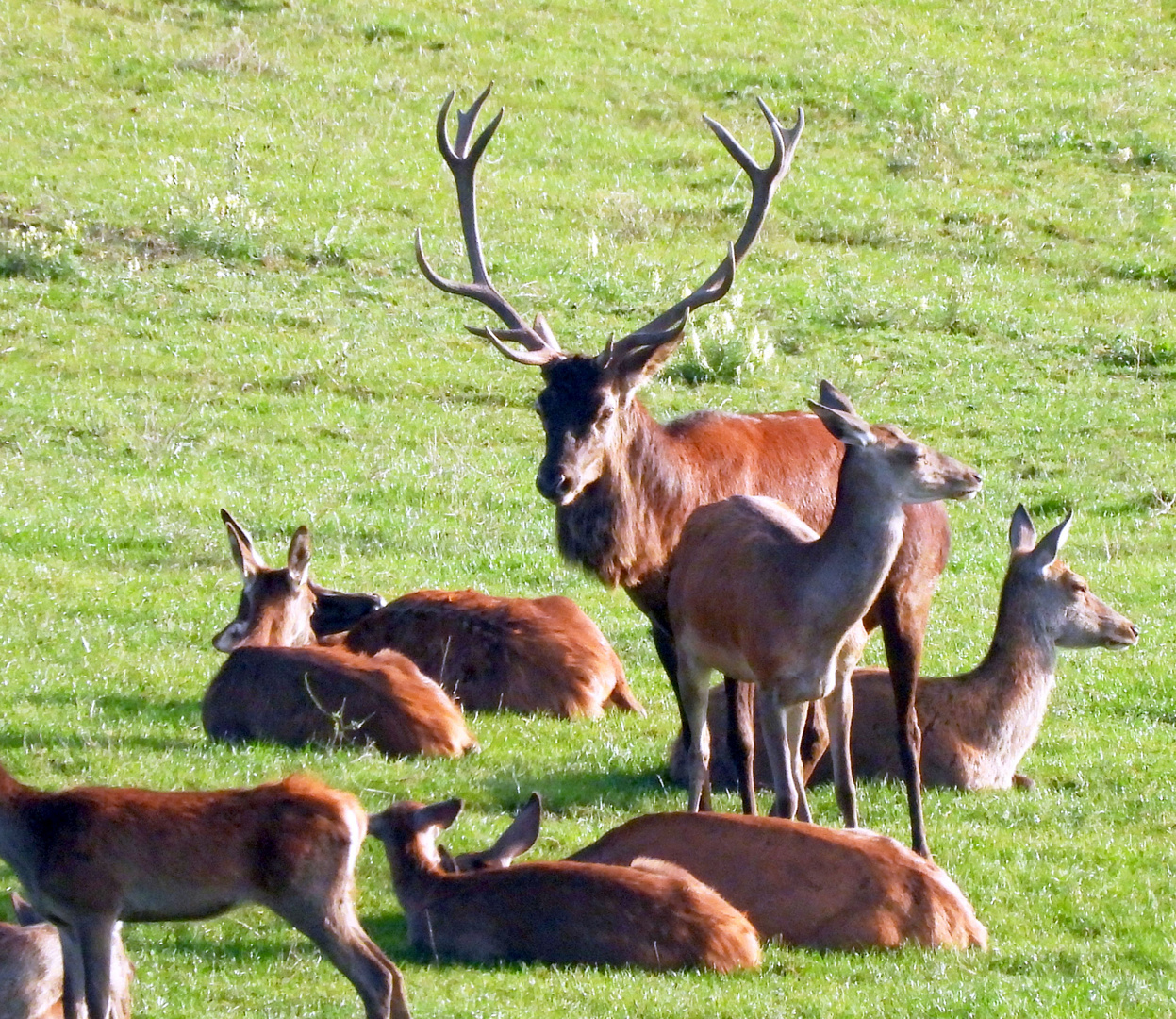 Nach dem Akt Foto & Bild | deutschland, europe, nordrhein- westfalen ...