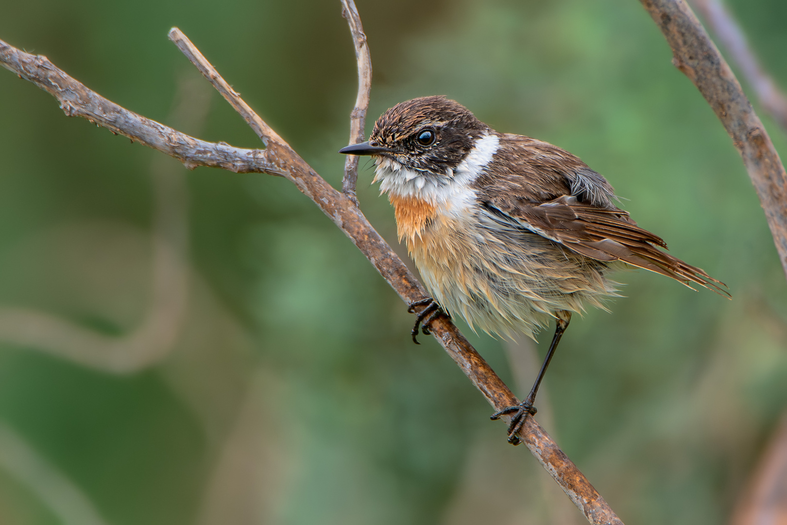 nach dem Bade Foto & Bild | spain, world, spezial Bilder auf fotocommunity