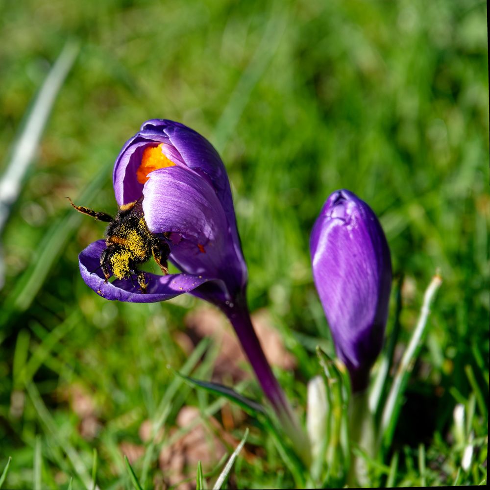 nach dem Mahl... Foto & Bild | Bilder auf fotocommunity