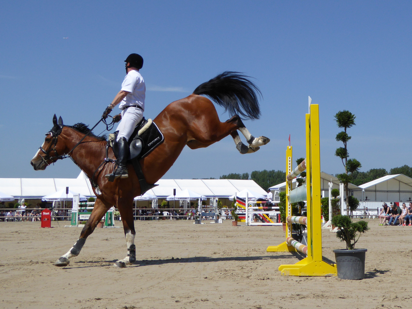 Nach dem Sprung ist vor dem Sprung Foto & Bild | sport, sport mit ...