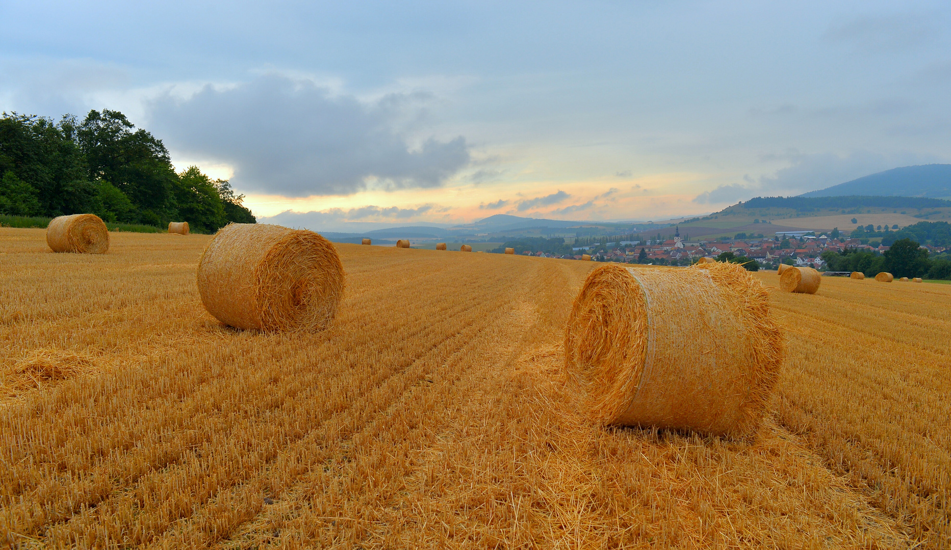 nach der Ernte, 3 /después de la recolección, 3) Foto & Bild ...