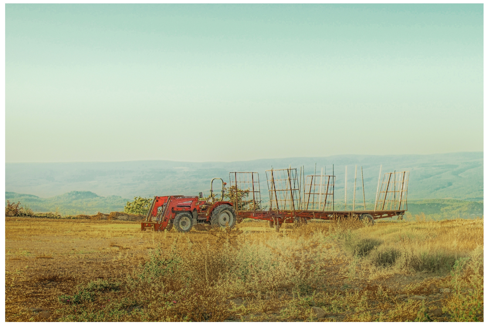 nach der Ernte Foto & Bild | natur Bilder auf fotocommunity