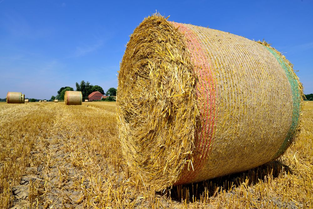 Nach der Ernte Foto & Bild | natur, ernte, strohballen Bilder auf ...