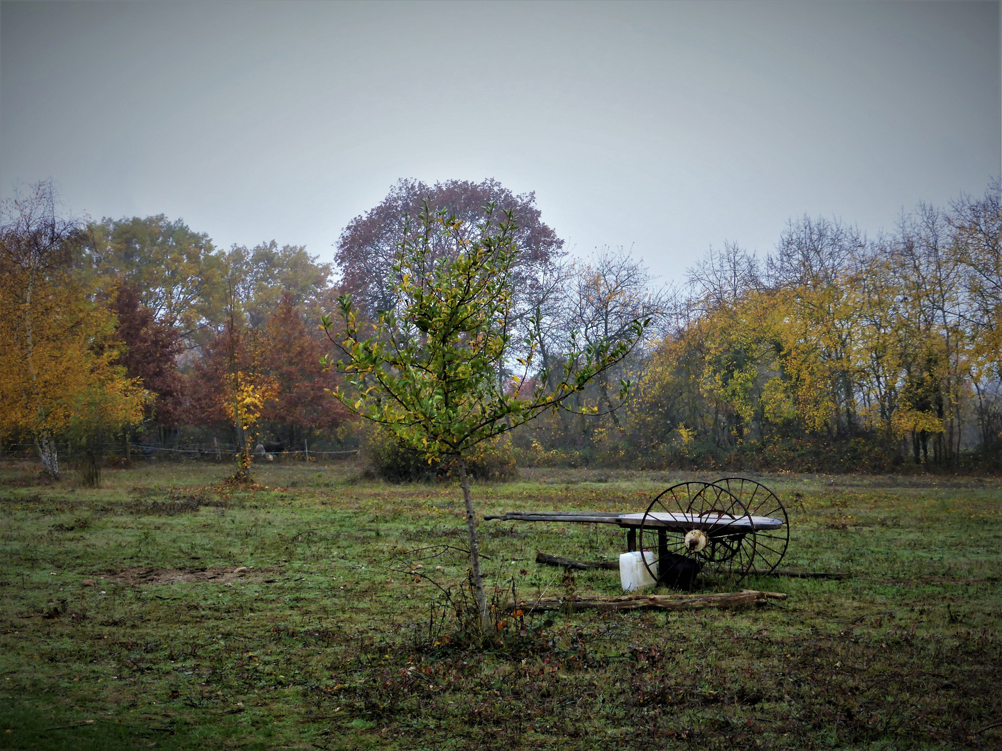 Nach getaner Arbeit Foto & Bild | natur, herbst, landschaft Bilder auf ... Nach getaner Arbeit Foto & Bild | natur, herbst, landschaft Bilder auf ...