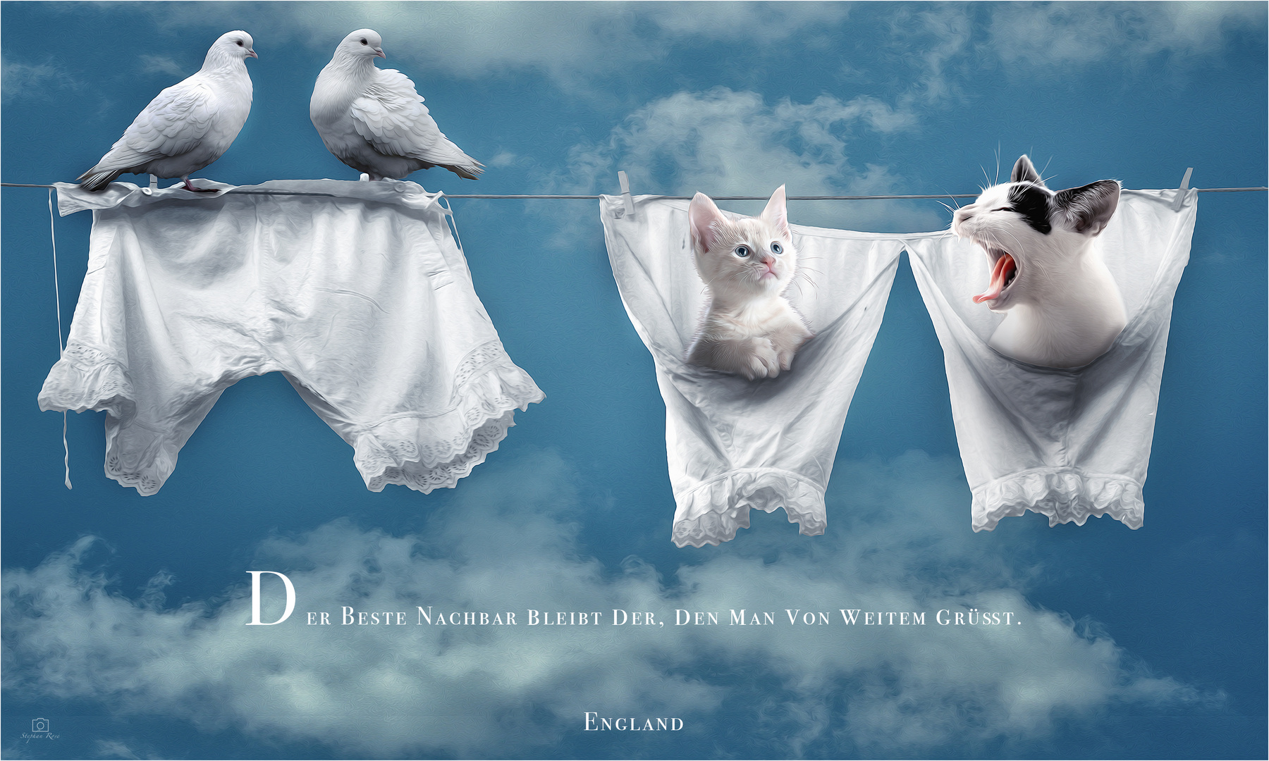 Nachbarn Foto & Bild | fotos, composing, stillleben Bilder auf fotocommunity