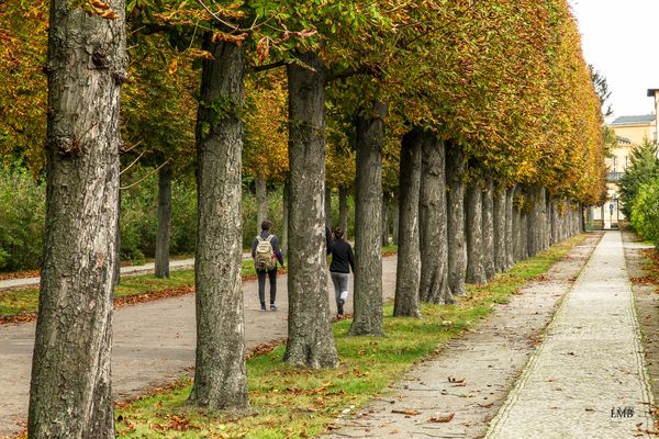 Potsdam Bilder & Fotos