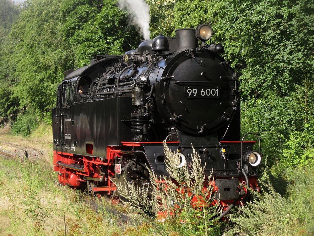 Nachmittagsrunde mit der HSB nach Eisfelder Talmühle 4. Foto & Bild | fotos, sommer, eisenbahn ...