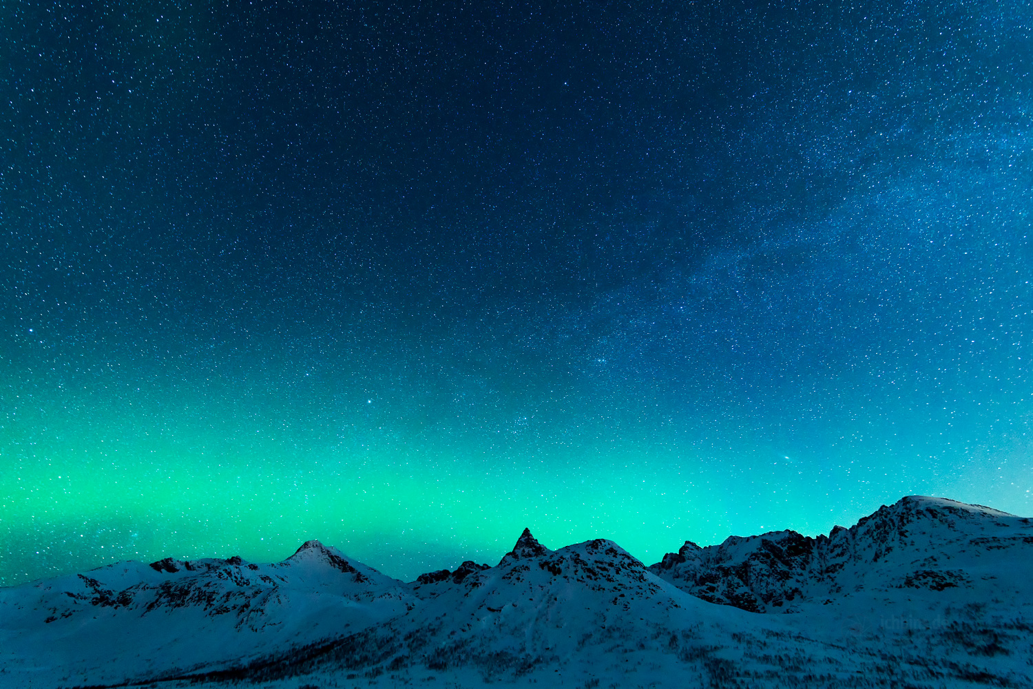 Nachthimmel in voller Blüte Foto & Bild | winter, nacht, natur Bilder ...