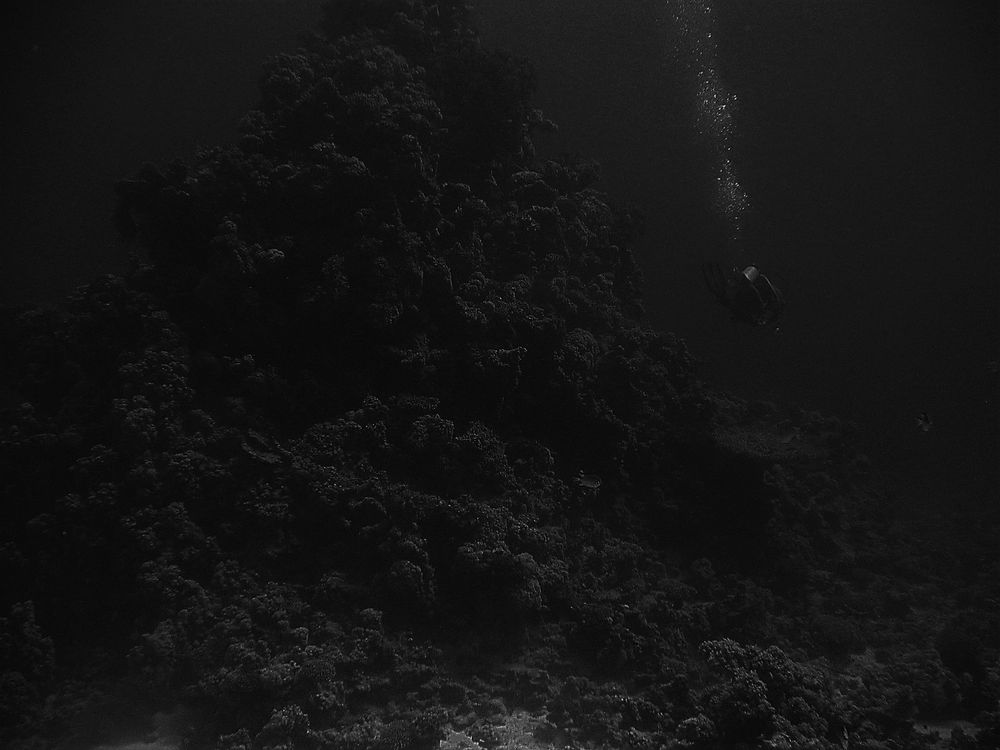 Nachts am Riff Foto & Bild | night, world, nacht Bilder auf fotocommunity