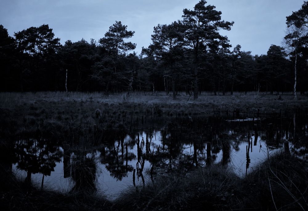 nachts im moor Foto & Bild | landschaft, moor, projekte Bilder auf ...