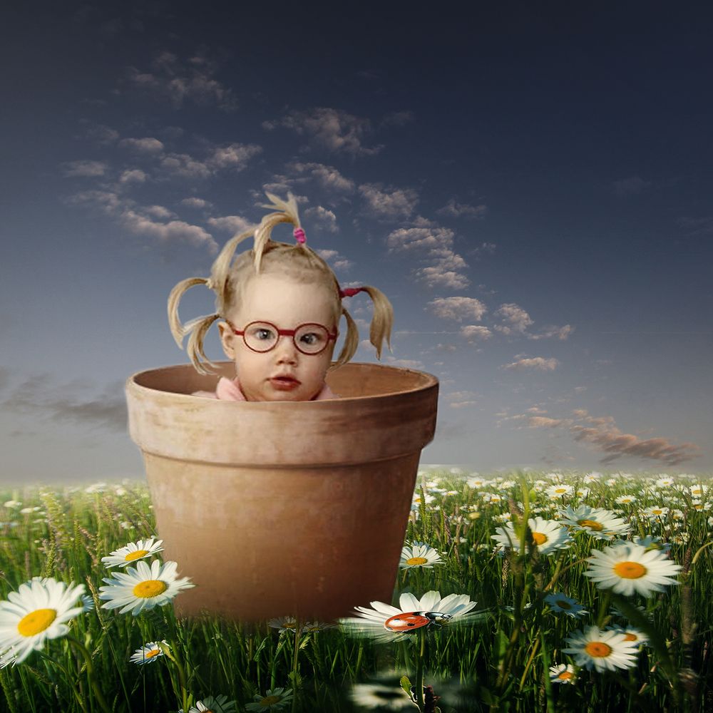 Nachwuchs Foto & Bild | fotomontage, composing , wolken Bilder auf fotocommunity