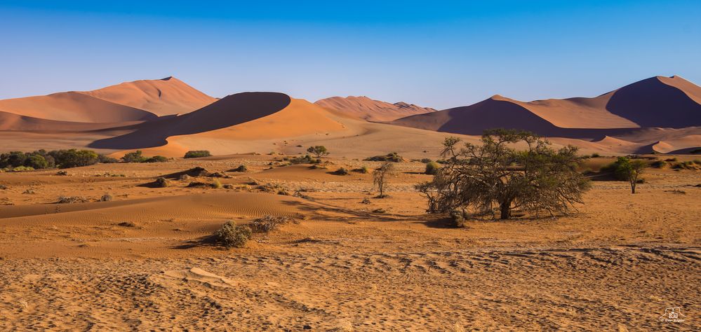 Namib-Wüste I Foto & Bild | africa, southern africa, namibia Bilder auf ...