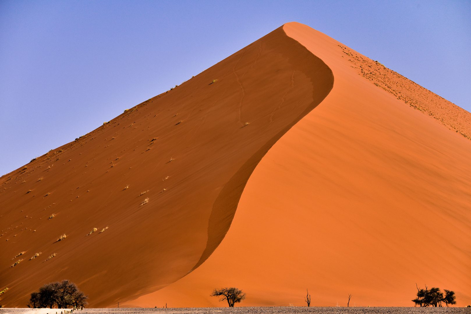 Namibia 49 - Düne 42 Foto & Bild | africa, southern africa, namibia ...