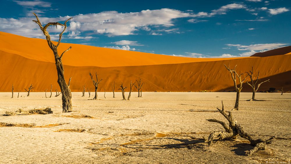 Namibia #83 Foto & Bild | africa, southern africa, namibia Bilder auf ...