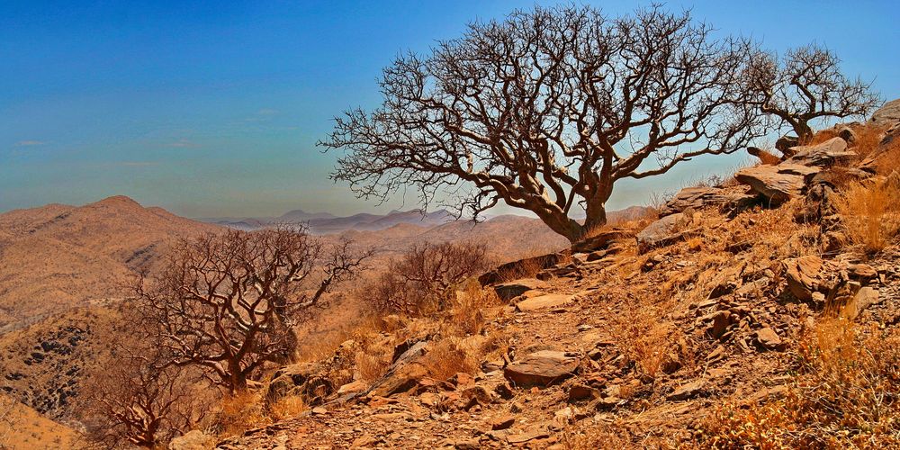 Namibia Foto & Bild | africa, southern africa, namibia Bilder auf ...