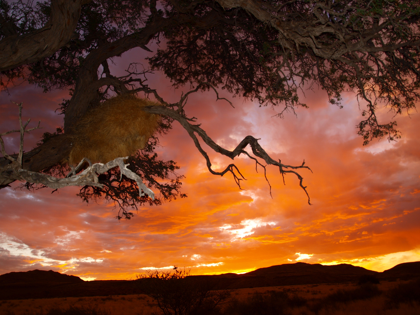 Namibian Sunset Foto & Bild | africa, southern africa, namibia Bilder ...