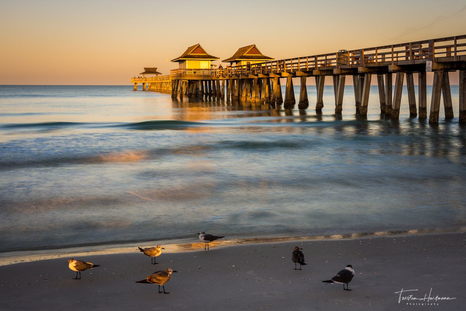 Naples Pier at sunrise (USA) Foto & Bild | north america, united states ...