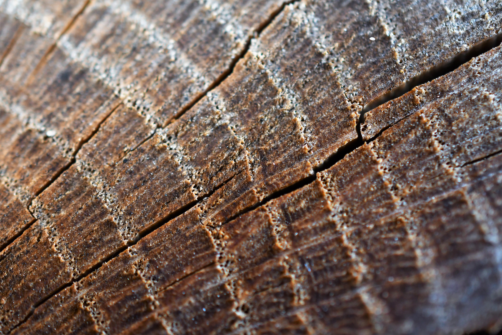 ...Narben... Foto & Bild | abstraktes, strukturen, spezial Bilder auf ...