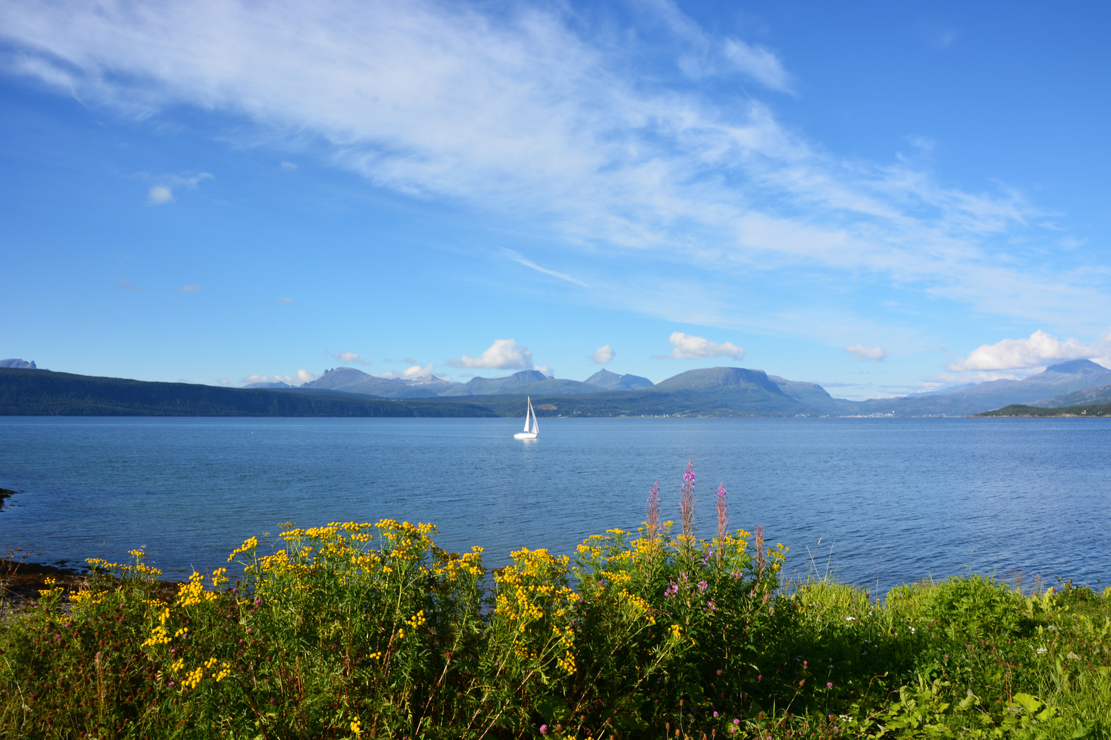 Narvik - Ofotfjord Foto & Bild | landschaften, wasser, natur Bilder auf ...