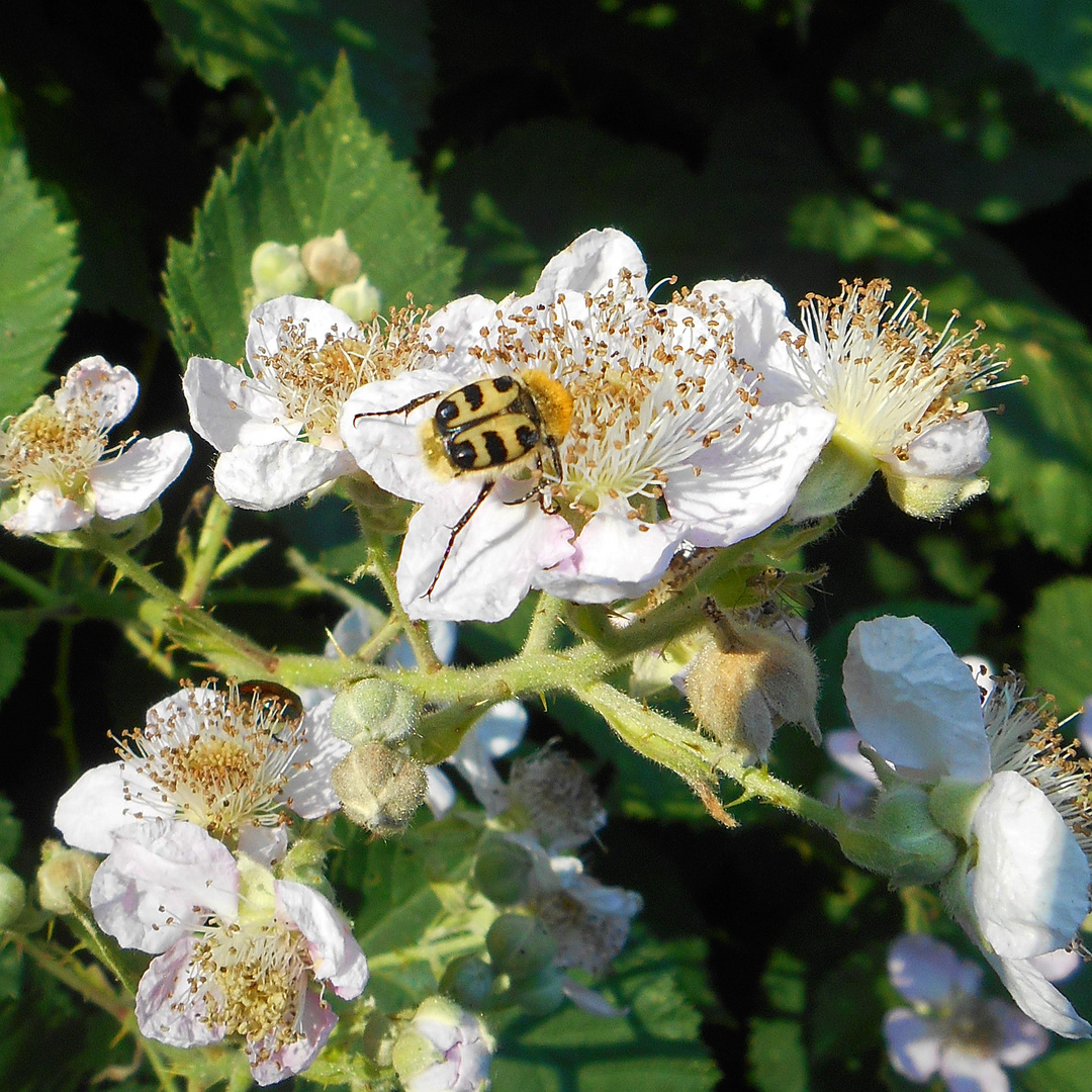 Nascher 2 Foto & Bild | frühling, natur, landschaft Bilder auf ...