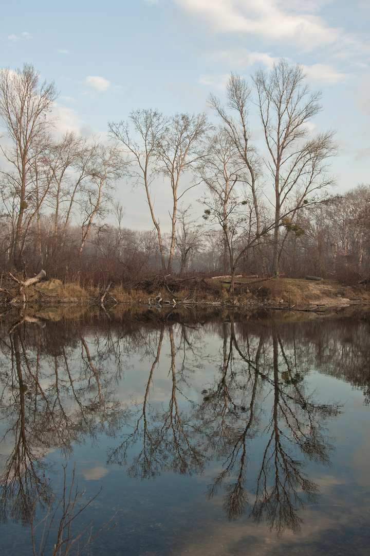 Nationalpark Donauauen Lobau... Foto & Bild | landschaft, bach, fluss ...