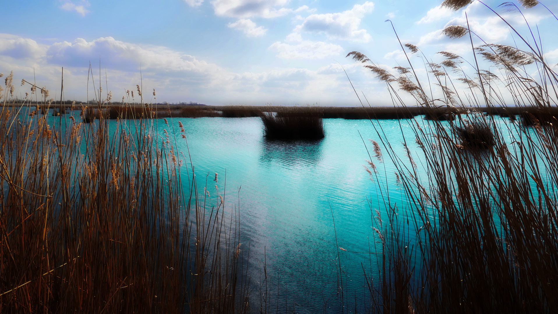 Nationalpark Neusiedler See Foto & Bild | natur, landschaft ...