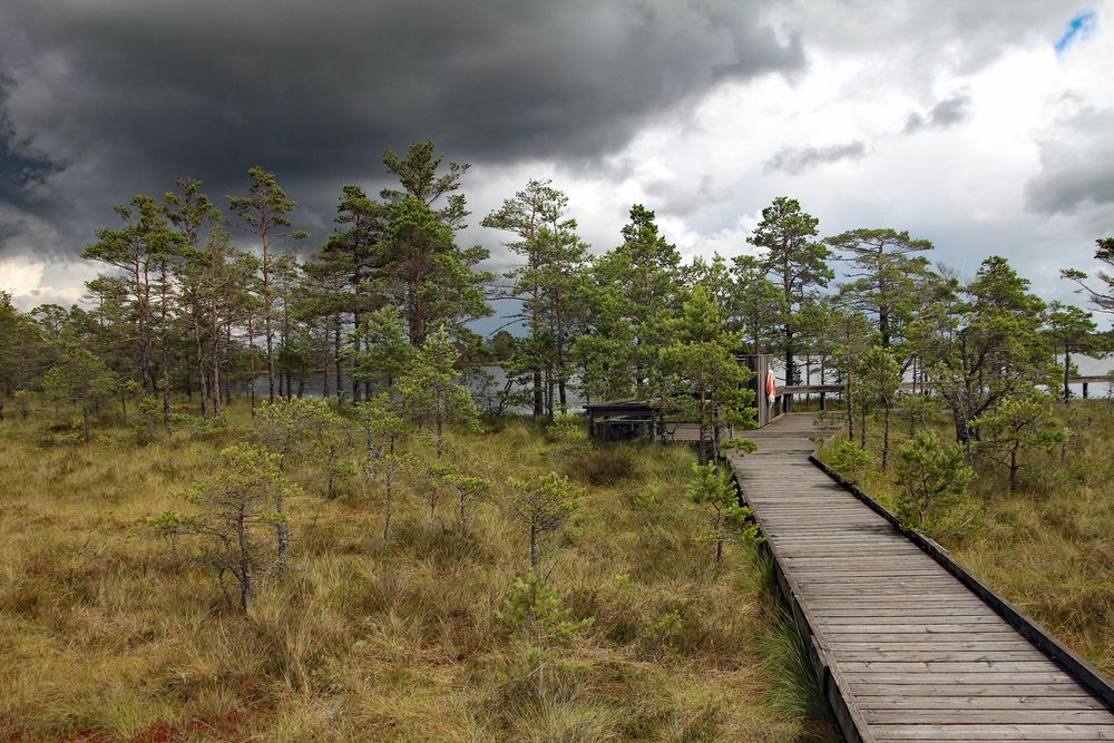 Nationalpark Store Mosse Foto & Bild | world, sweden, europe Bilder auf ...