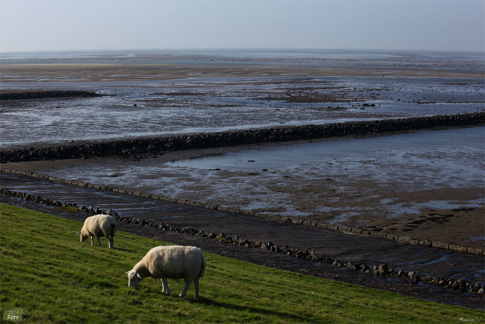 Nationalpark Wattenmeer Foto & Bild | deutschland, europe, schleswig ...