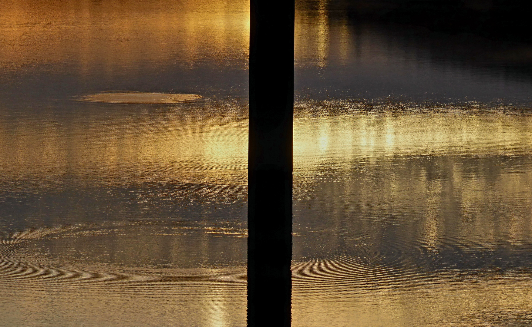 Natürlich abstrakt Foto & Bild | jahreszeiten, herbst, sonnenaufgänge ...