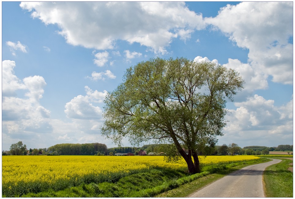 Natürlich ... Foto & Bild | landschaft, Äcker, felder & wiesen, hamm ...