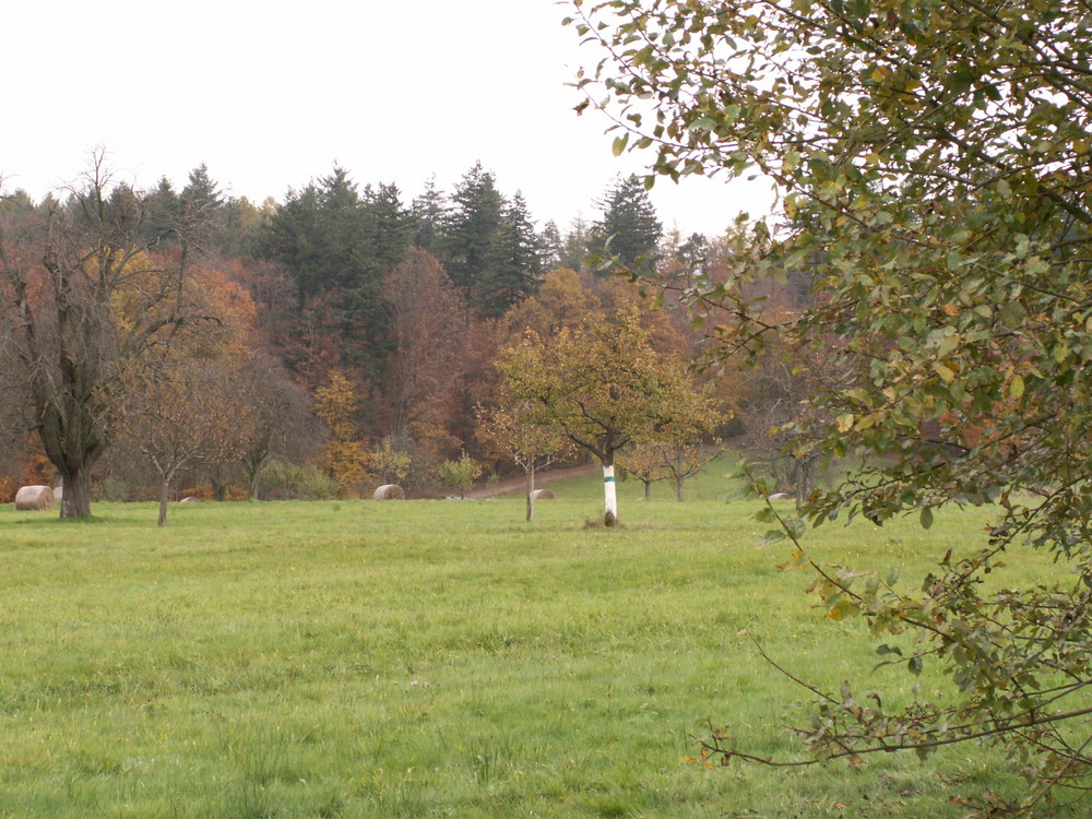 Natürlich Foto & Bild | landschaft, wald, natur Bilder auf fotocommunity