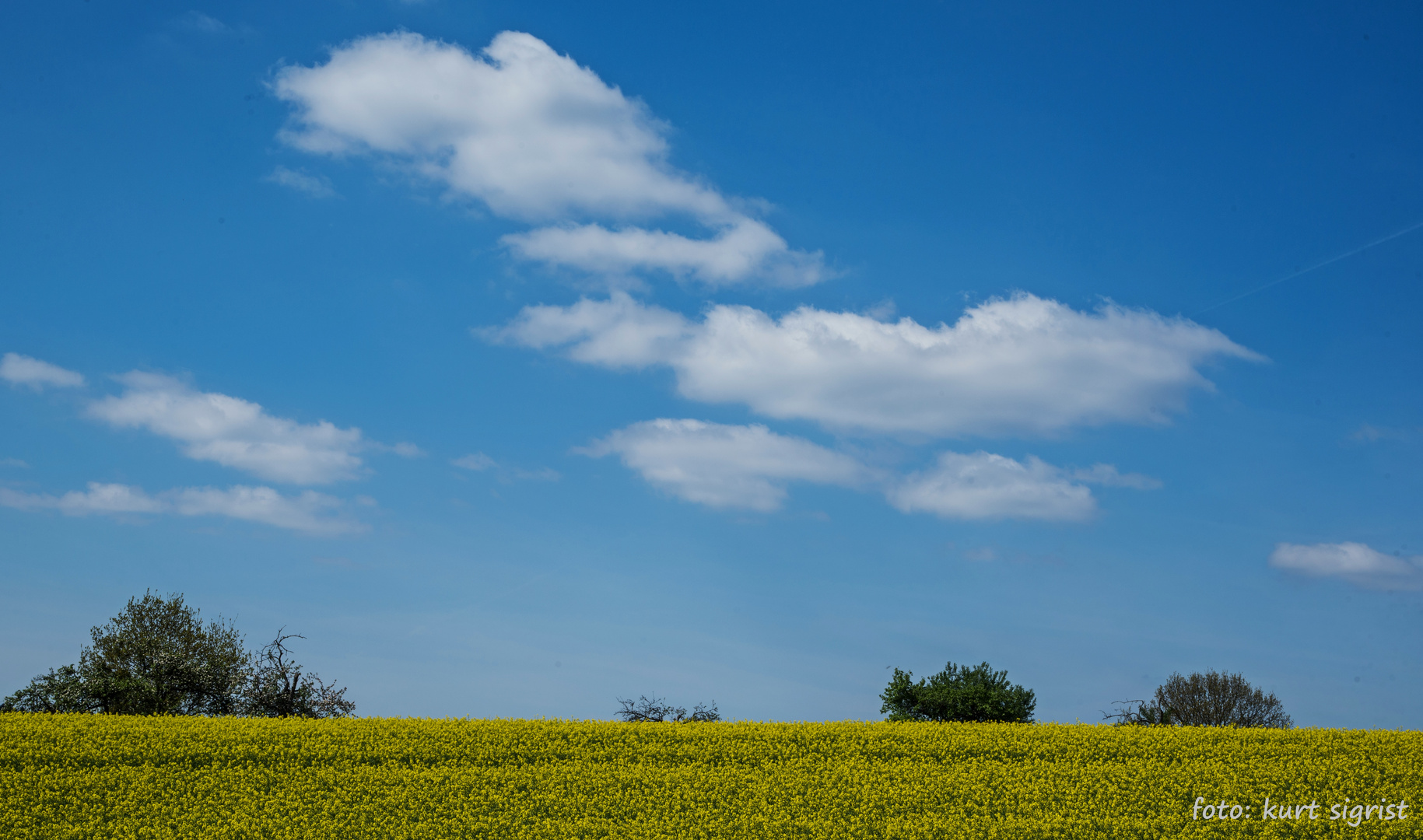 Natürlich Natur Foto & Bild | natur Bilder auf fotocommunity