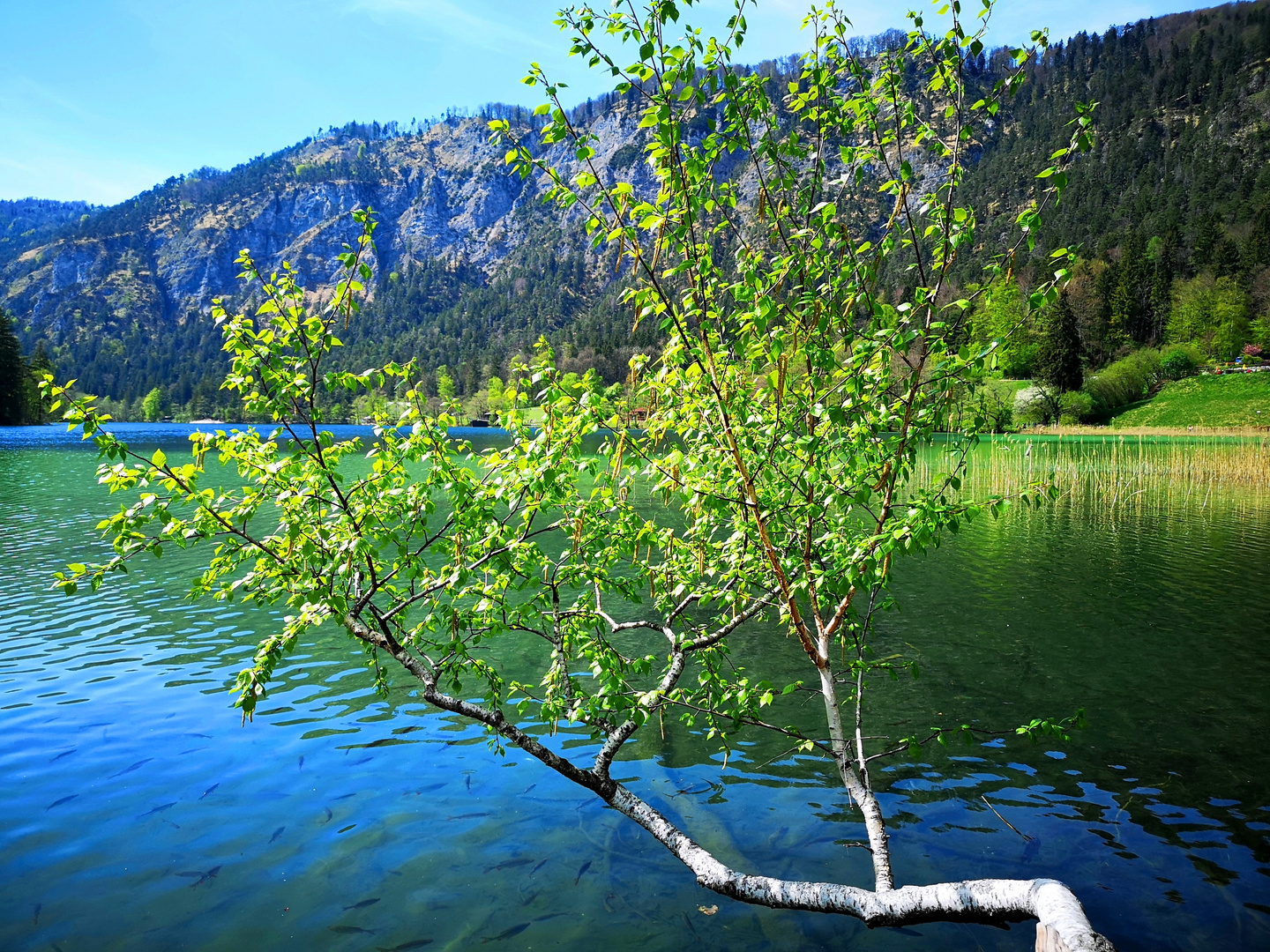Natürlich schön Foto & Bild | landschaft, berge, bergseen Bilder auf ...