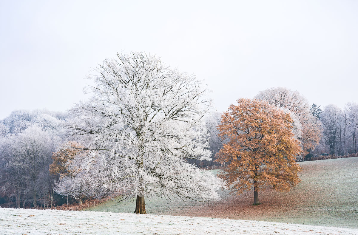 Natur Foto & Bild | fotos, spezial, natur Bilder auf fotocommunity