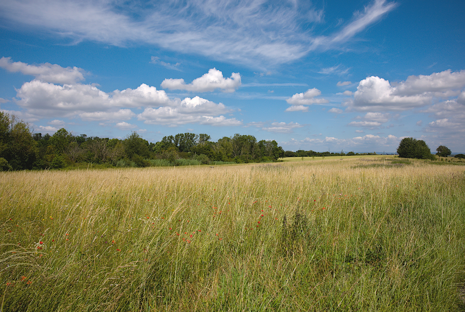 NATUR AM STADTRAND Foto & Bild | fotos, nikon, spezial Bilder auf ...