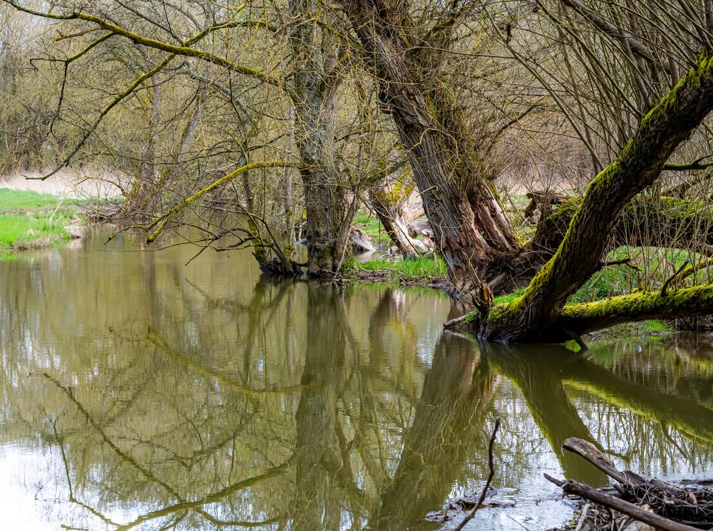 Natur Foto & Bild | landschaft, jahreszeiten, projekte Bilder auf fotocommunity